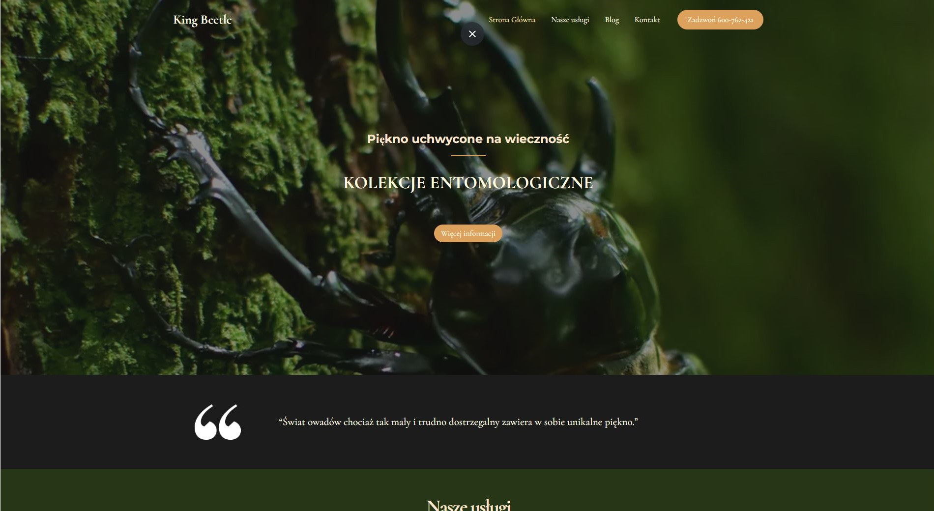 Portfolio: Damian Szkudlarek