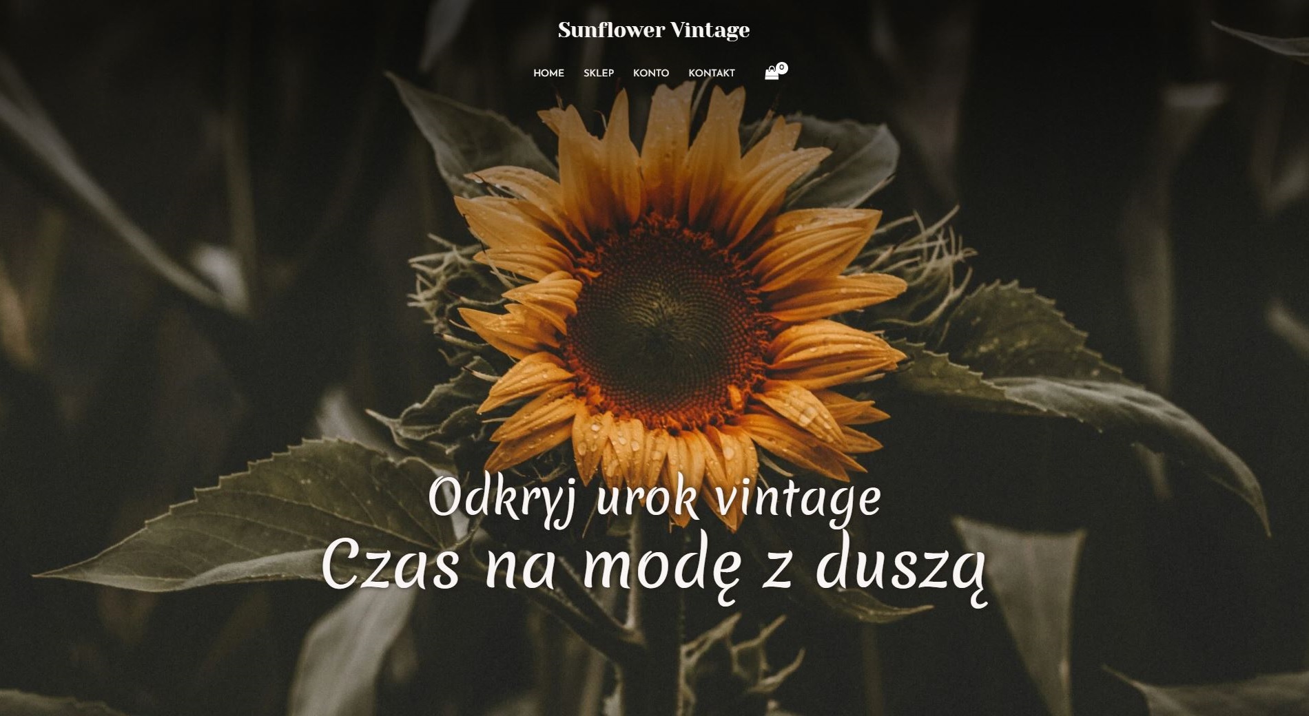 Portfolio: Damian Szkudlarek